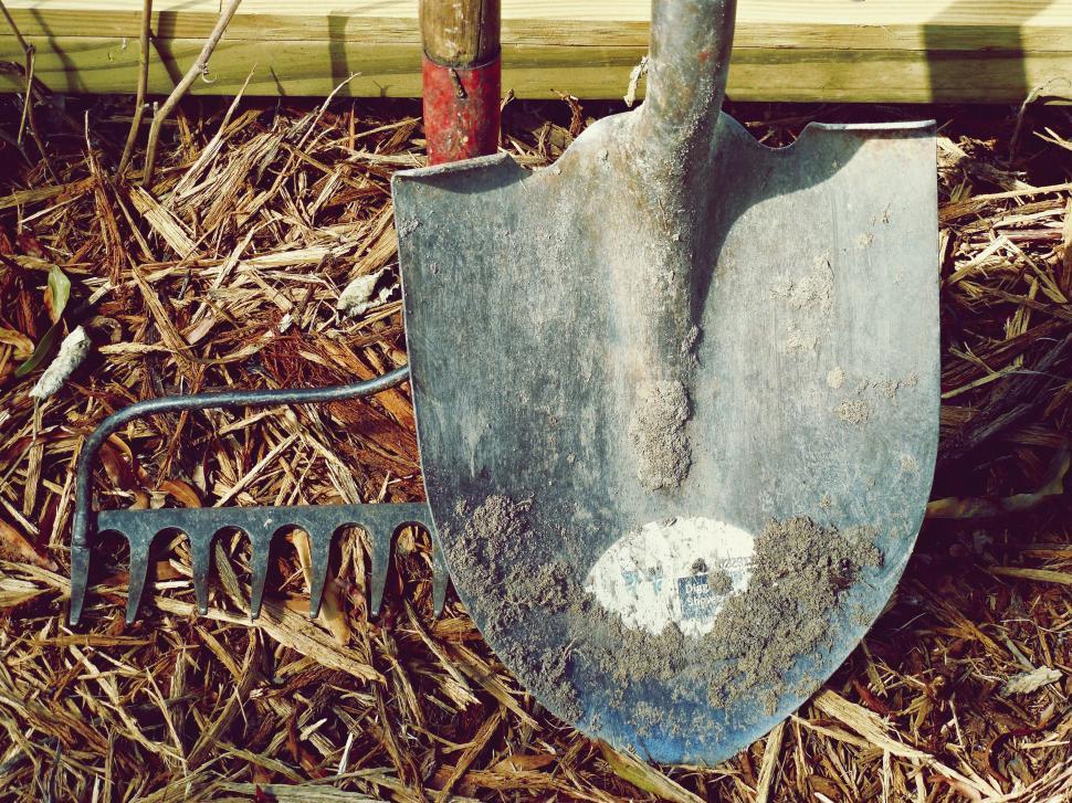 Free Stock Photo of Gardening Tools | Download Free Images and Free ...