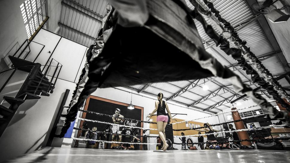 Free Stock Photo of Boxing Ring | Download Free Images and Free ...