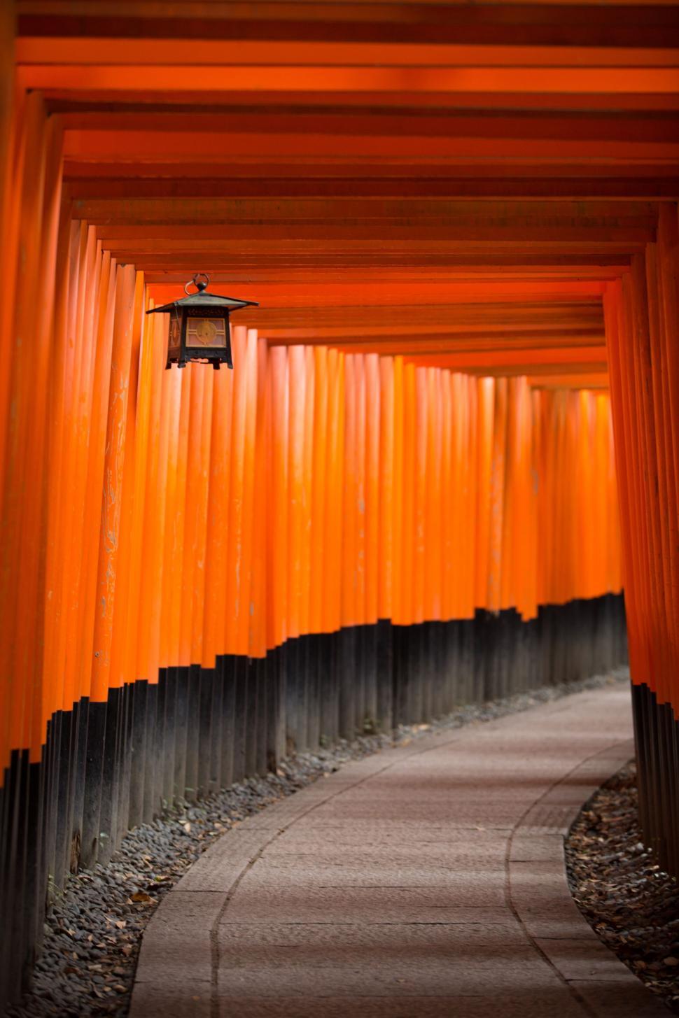 Free Stock Photo of Torii gates in Fushimi Inari Shrine | Download Free ...