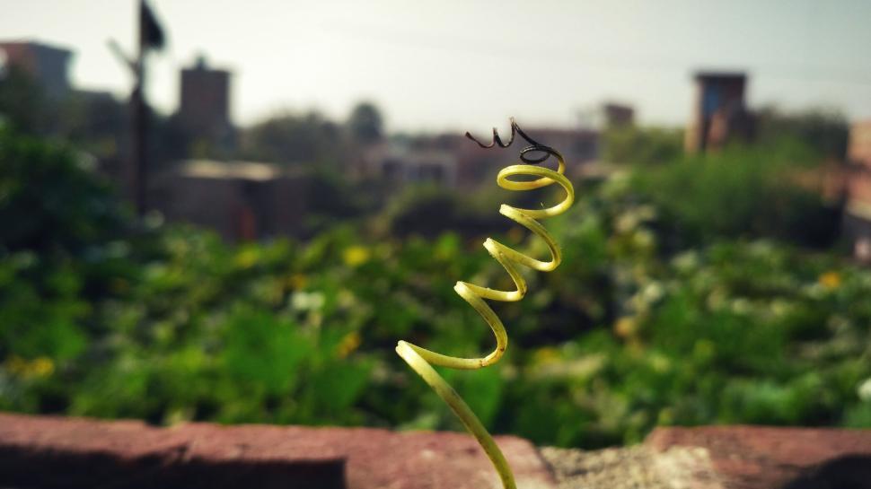 Free Stock Photo of Rolled Grass Strand | Download Free Images and Free ...