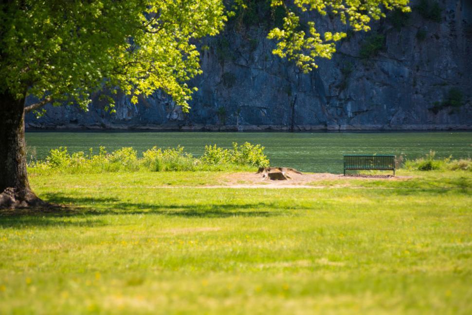Free Stock Photo of Morning Sunlight in a Park | Download Free Images ...