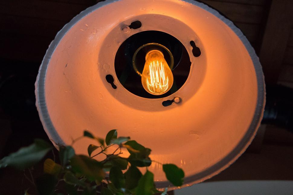 Free Stock Photo of Light Bulb | Download Free Images and Free ...