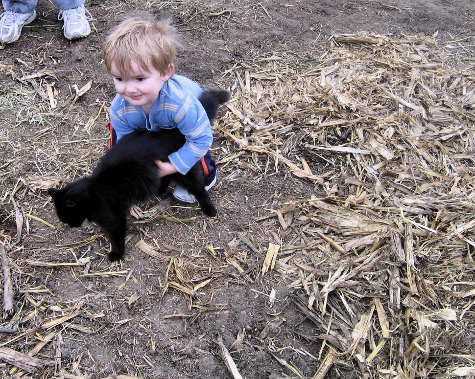 Free Stock Photo of Gotcha! | Download Free Images and Free Illustrations