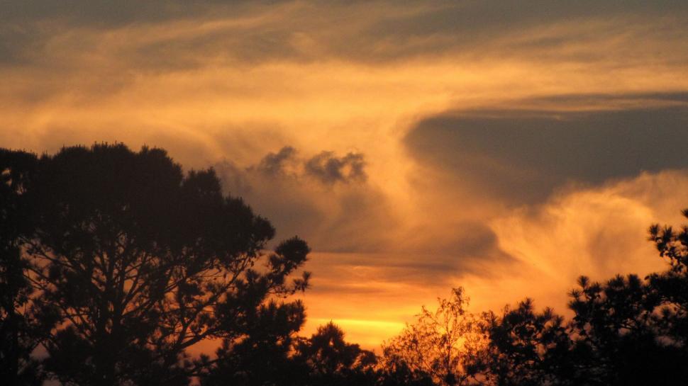 Free Stock Photo of Trees and Sunset Sky | Download Free Images and ...