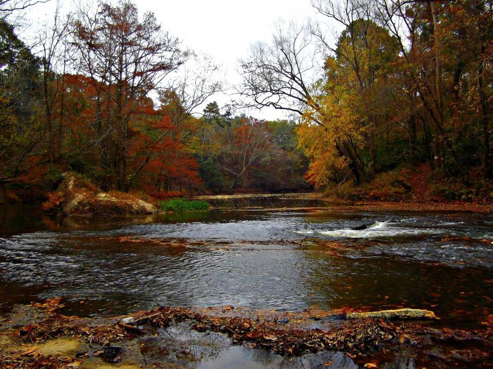 Free Stock Photo of River and Autumn Trees | Download Free Images and ...