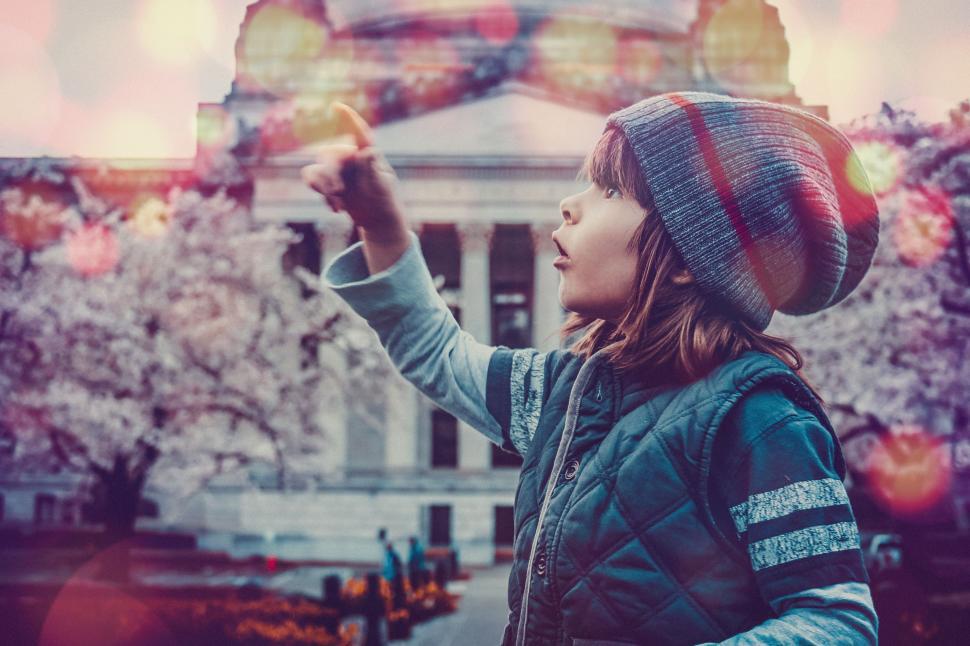 Free Stock Photo of Little Boy With Cherry Blossom Trees - pointing ...