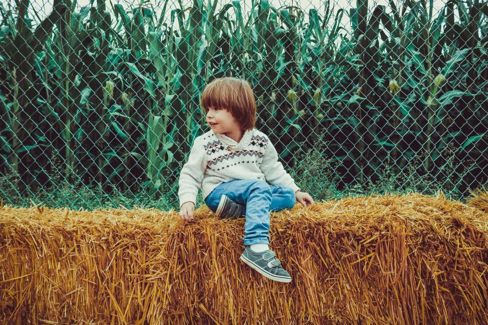Free Stock Photo of Little Boy and Hay bales | Download Free Images and ...