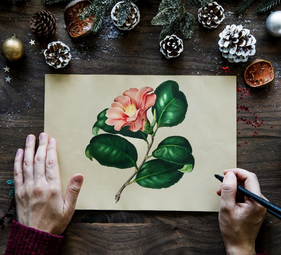 Free Stock Photo of Overhead view of a person drawing a floral picture ...