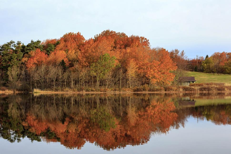 Free Stock Photo of Autumn reflection | Download Free Images and Free ...
