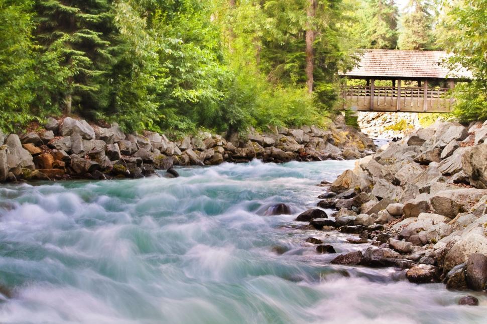 Free Stock Photo of Flowing Creek | Download Free Images and Free ...