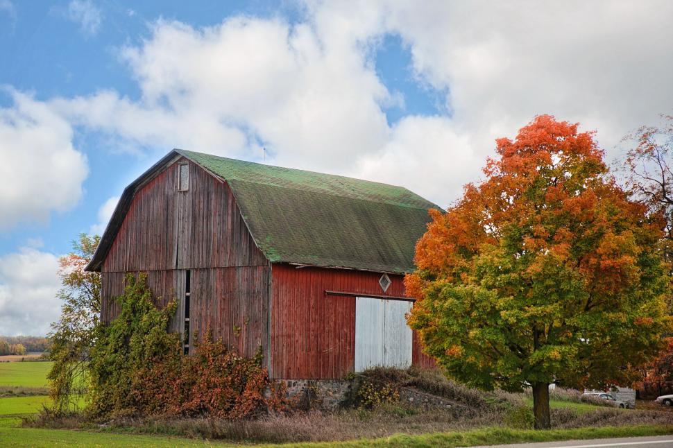 Free Stock Photo of Old Barn with Autumn Trees | Download Free Images ...