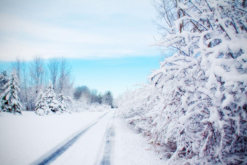 Free Stock Photo of Snowy Road | Download Free Images and Free ...