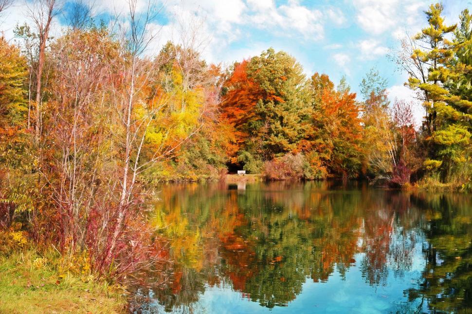 Free Stock Photo of Lake and Autumn Trees | Download Free Images and ...