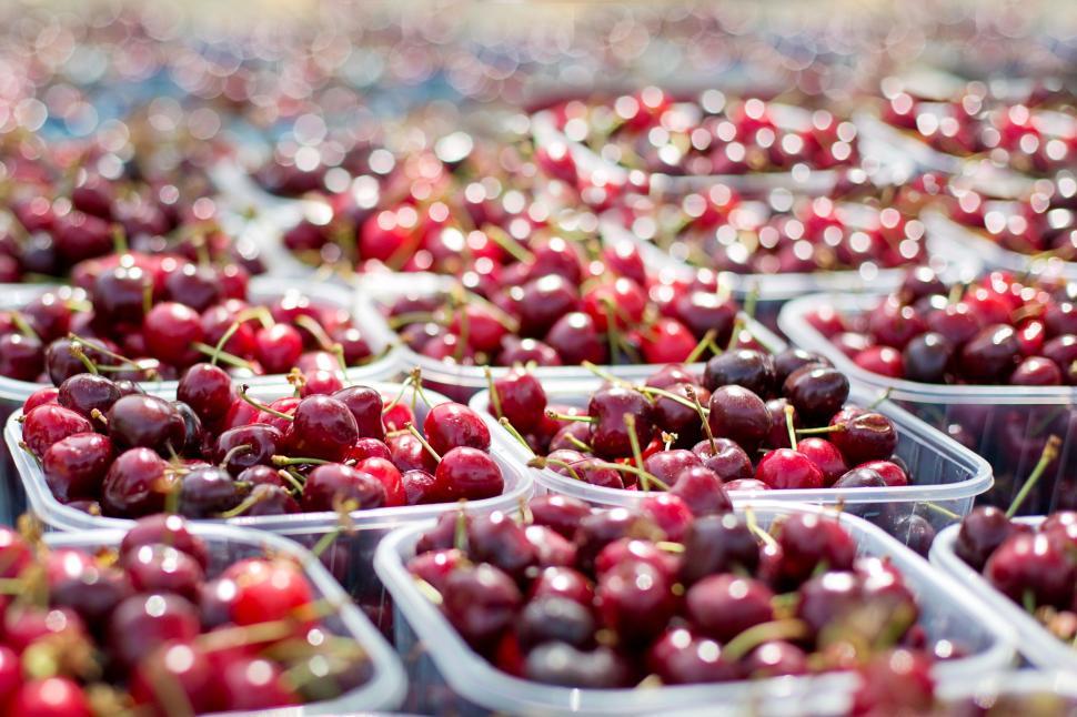 Free Stock Photo of Red Cherries | Download Free Images and Free ...