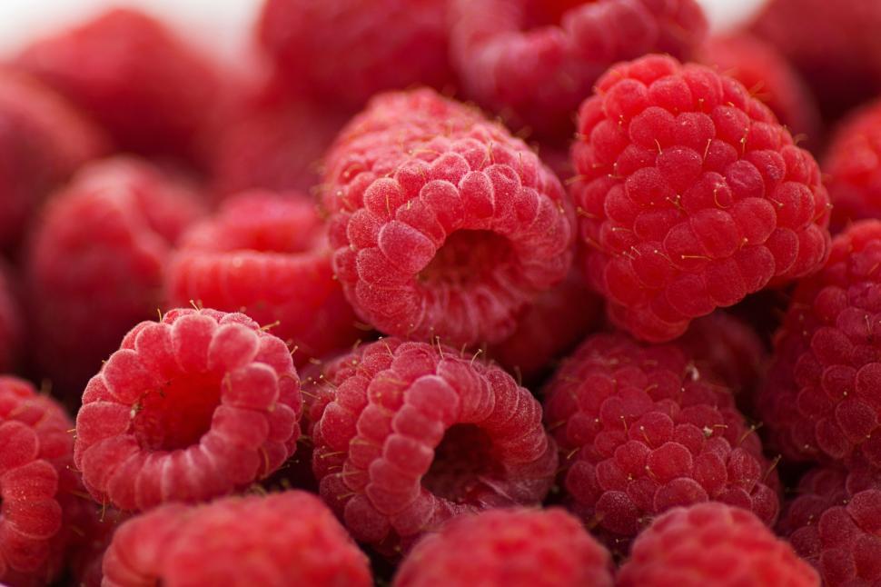Free Stock Photo of Raspberries | Download Free Images and Free ...