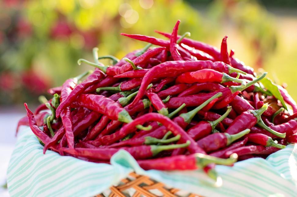 Free Stock Photo of Chili red peppers | Download Free Images and Free ...