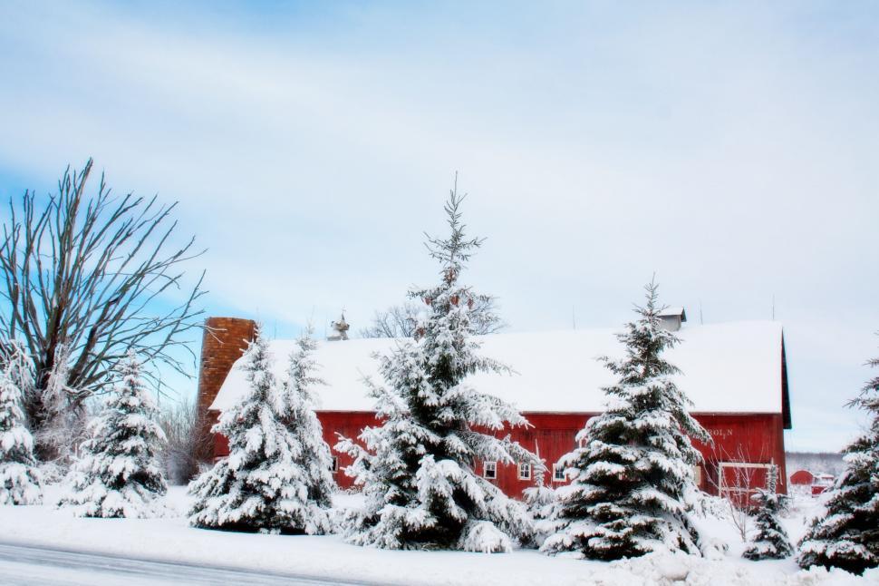 Free Stock Photo of Trees and Barn in Snow | Download Free Images and ...