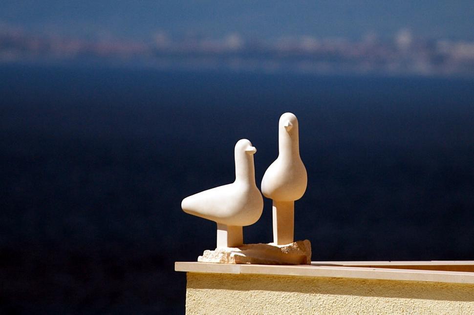 Free Stock Photo of Stone gulls | Download Free Images and Free ...