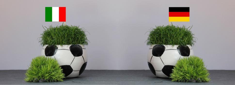 Free Stock Photo of Two Football Shaped Pot with Green Grass | Download ...