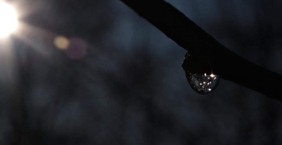 Free Stock Photo of Rain Droplet and Sun - Dark View | Download Free ...
