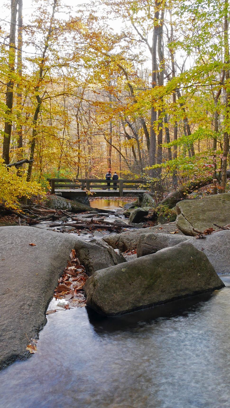 Free Stock Photo of Wooden Bridge Across A Stream | Download Free ...