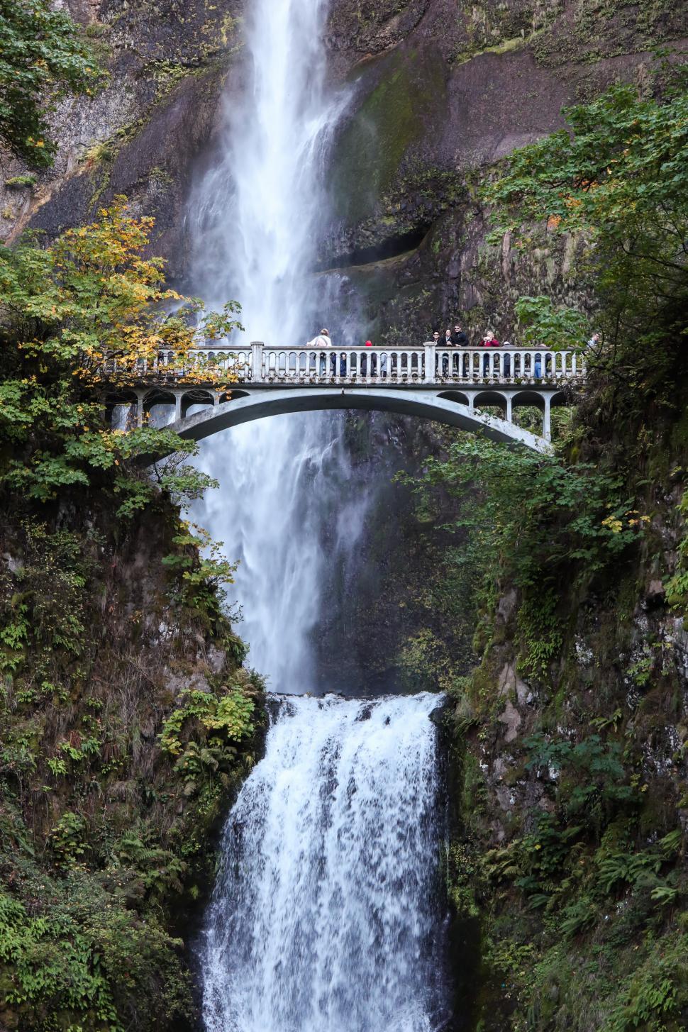 Free Stock Photo of Bridgeat Multnomah Falls, Pacific Northwest, Oregon ...