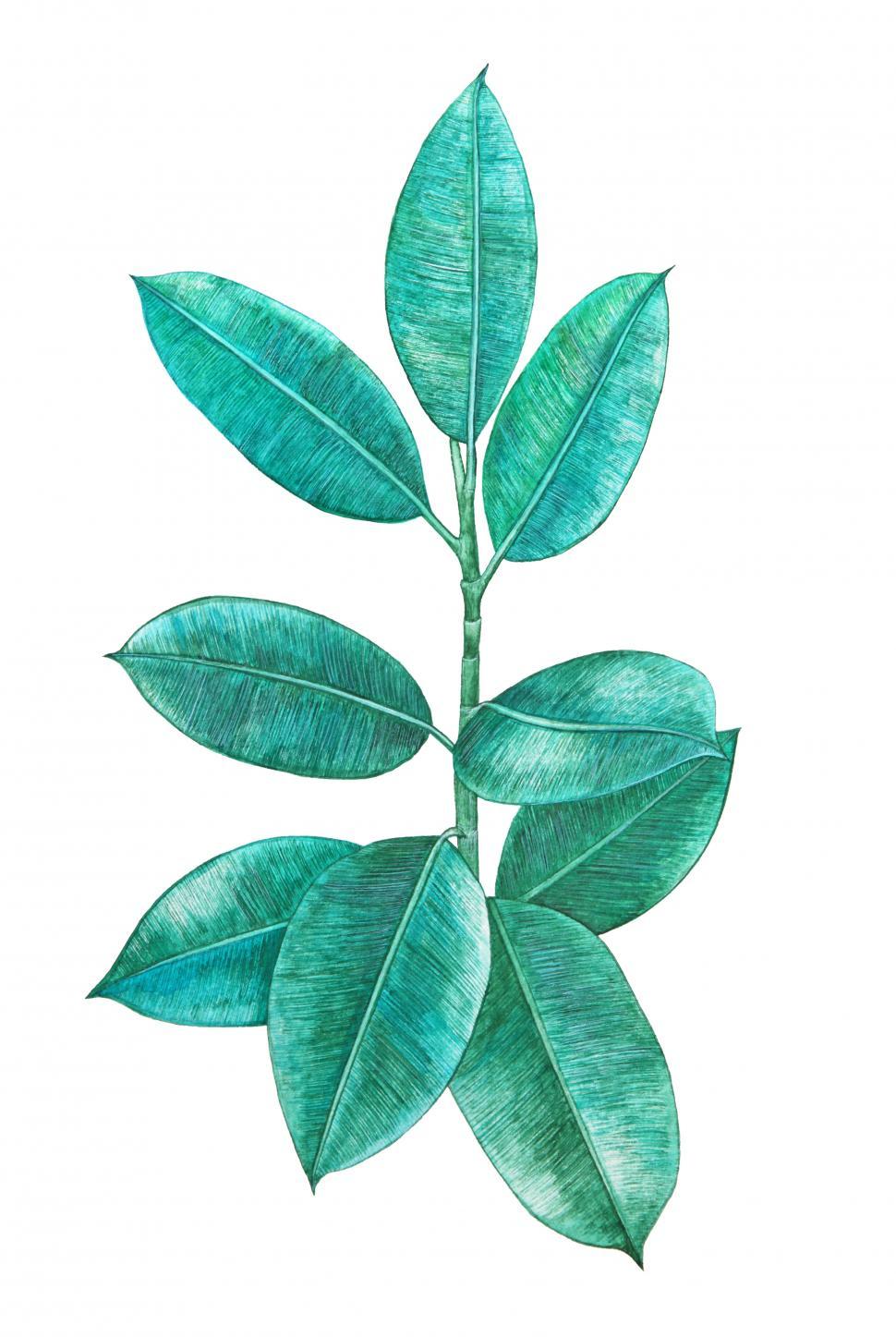 Free Stock Photo of Blue Leaves | Download Free Images and Free ...