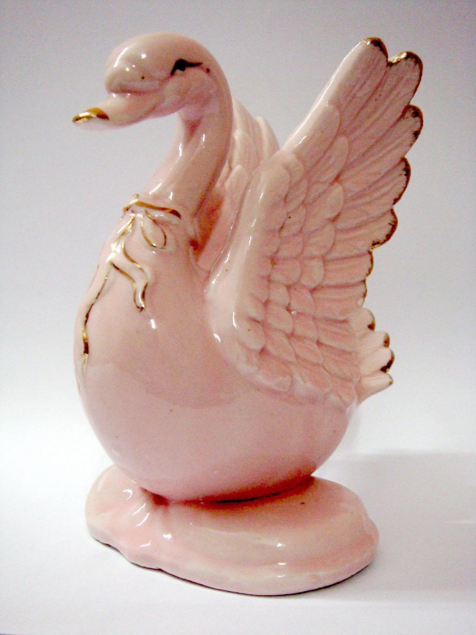 Free Stock Photo of Pink Swan | Download Free Images and Free Illustrations