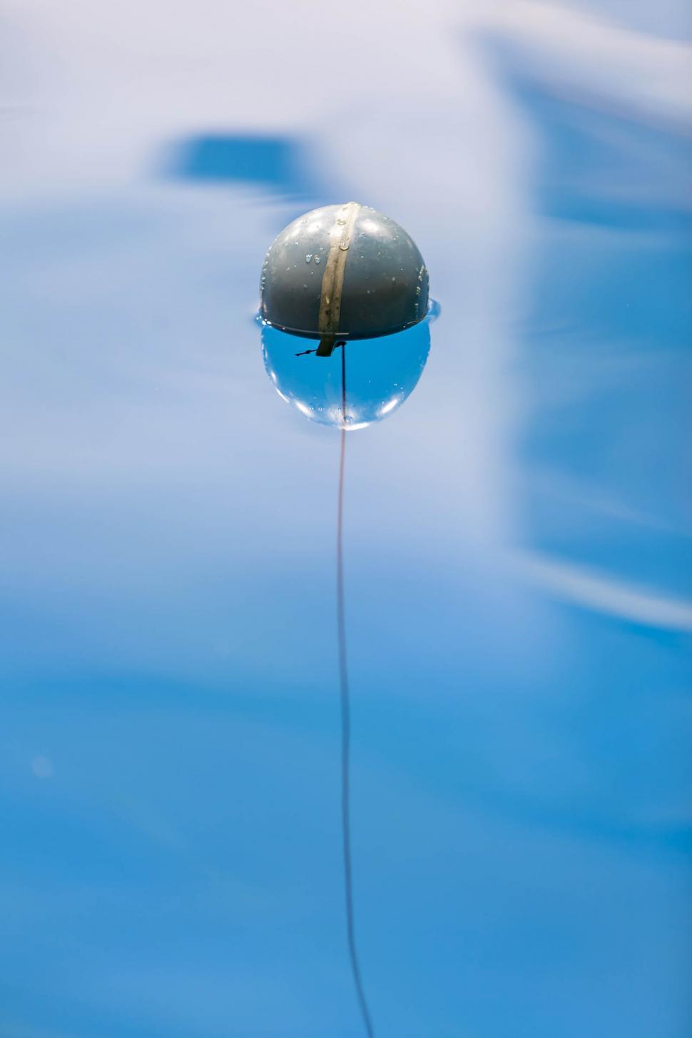 Free Stock Photo of Float | Download Free Images and Free Illustrations