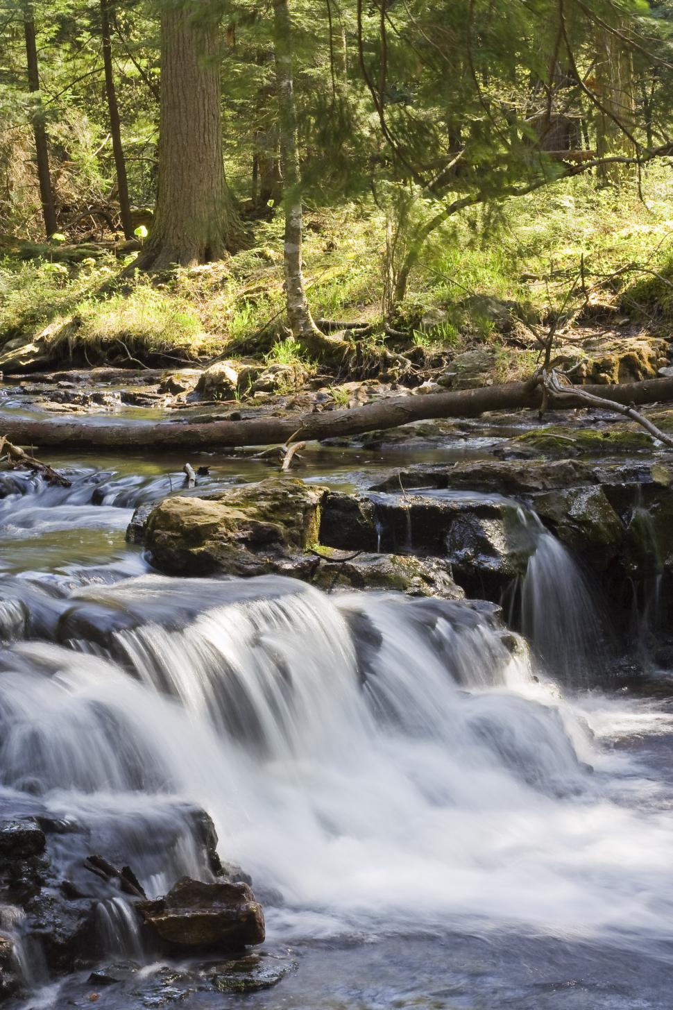 Free Stock Photo of Small waterfall creek | Download Free Images and ...