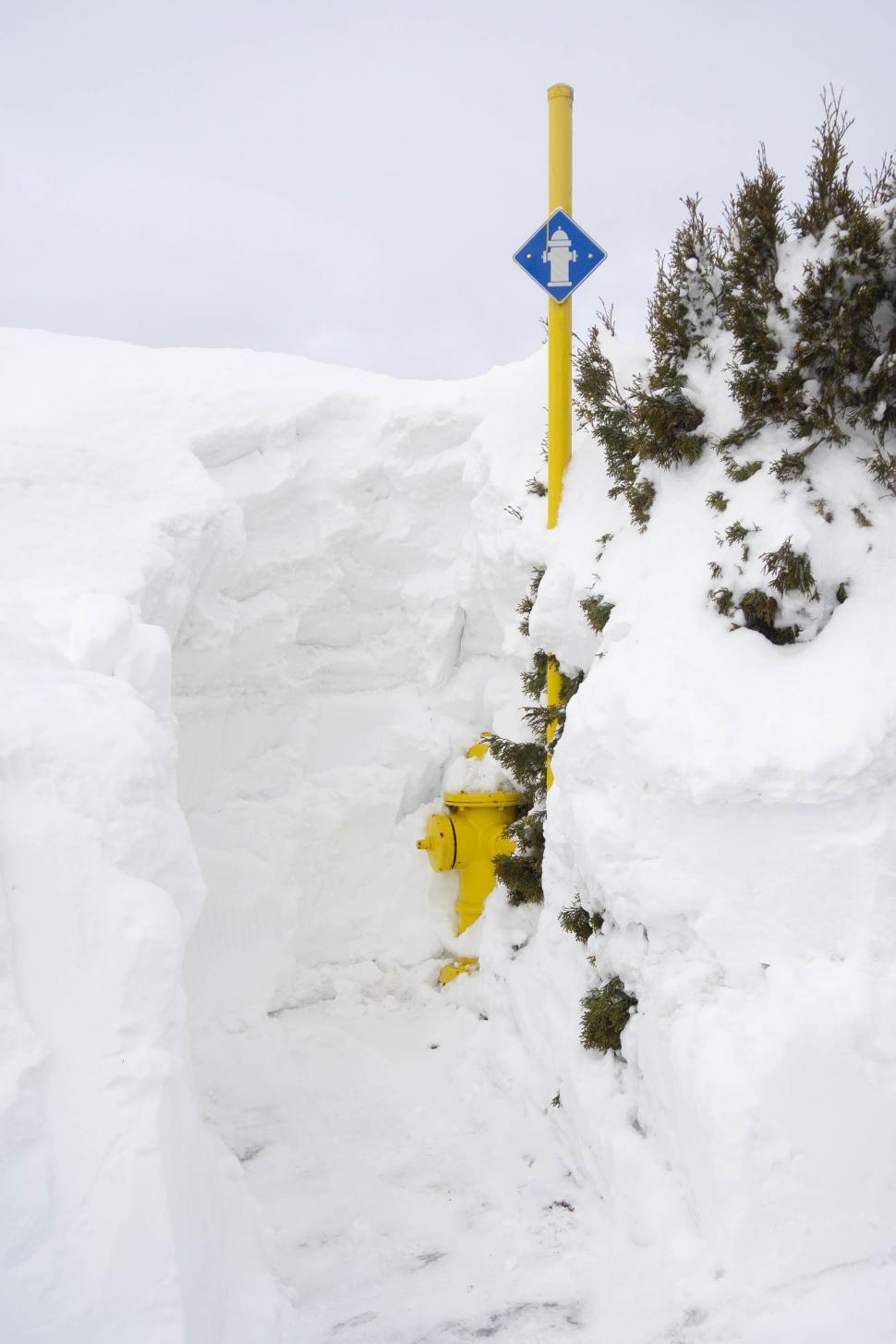 Free Stock Photo of Fire hydrant in the snow | Download Free Images and ...