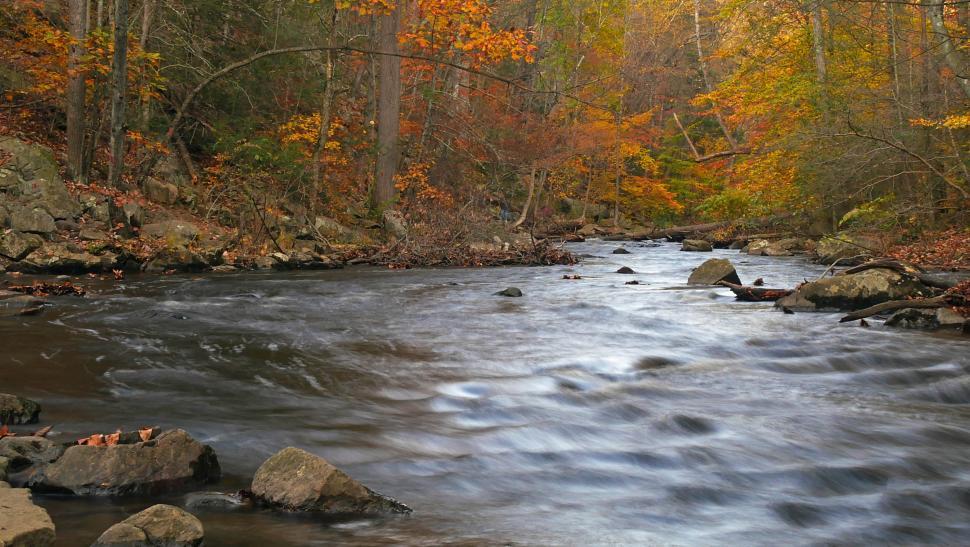 Free Stock Photo of The Black River | Download Free Images and Free ...