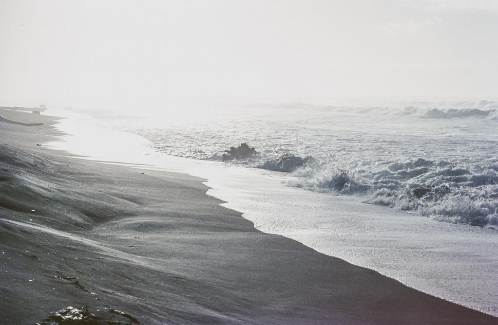 Free Stock Photo of Seashore | Download Free Images and Free Illustrations