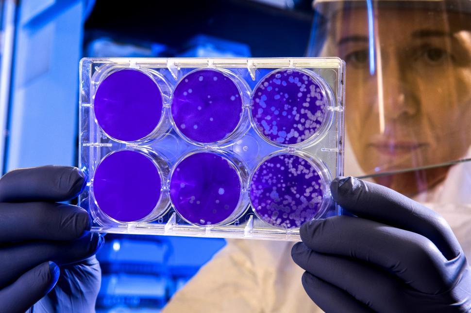 Free Stock Photo of Examining lab experiment | Download Free Images and ...