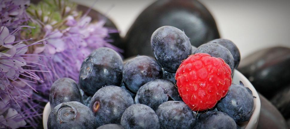 Free Stock Photo of Bowl of Berries | Download Free Images and Free ...