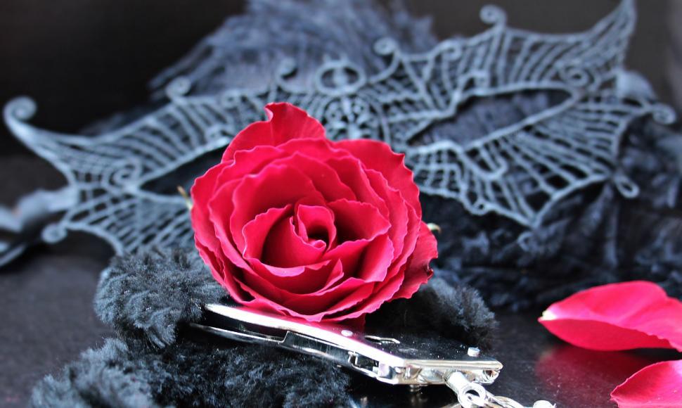 Free Stock Photo of Black mask with roses and handcuffs | Download Free ...