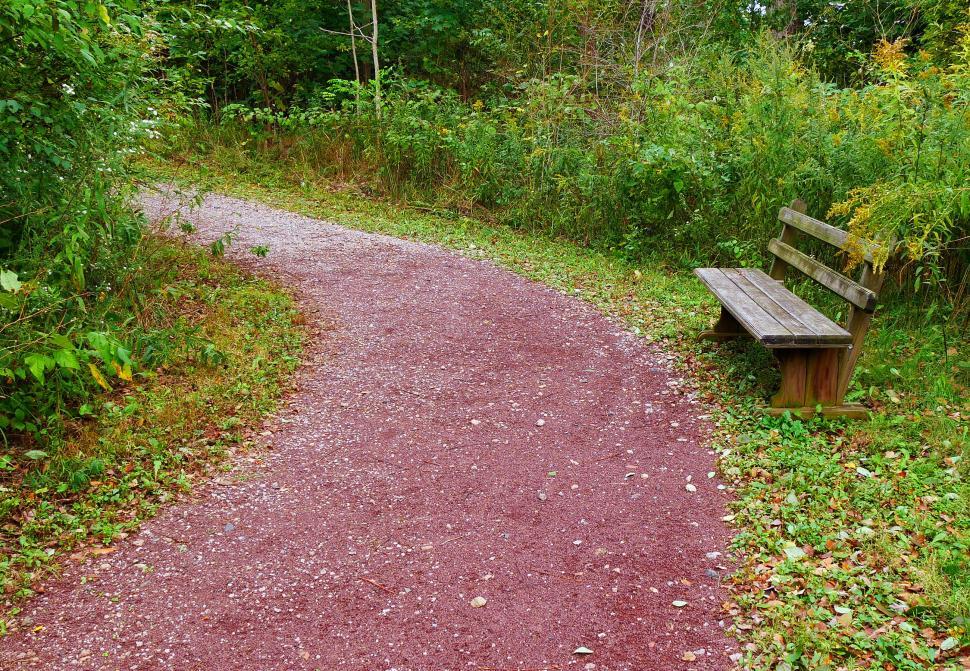 Free Stock Photo of Rustic Bench | Download Free Images and Free ...