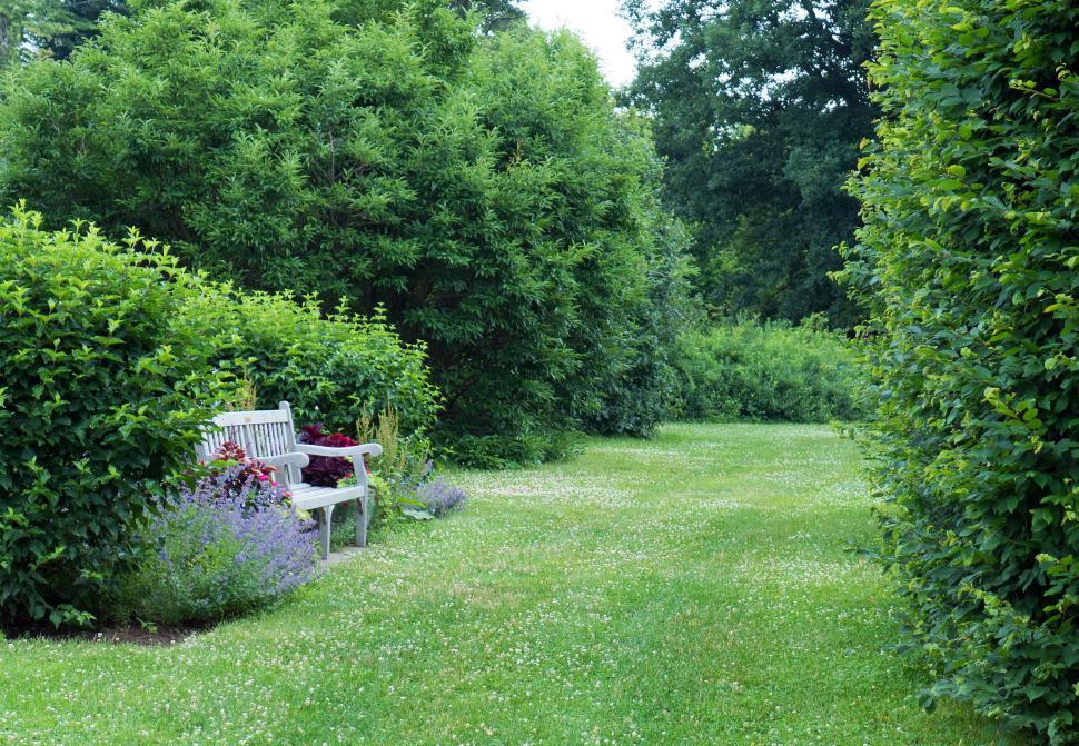 Free Stock Photo of Bench on Garden Lawn | Download Free Images and ...
