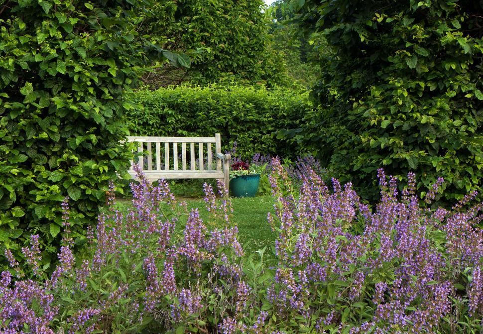 Free Stock Photo of Serene Garden | Download Free Images and Free ...