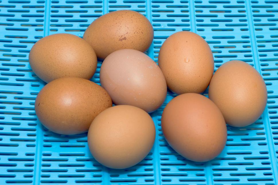 Free Stock Photo of Some Eggs On The Table With Blue Base | Download ...