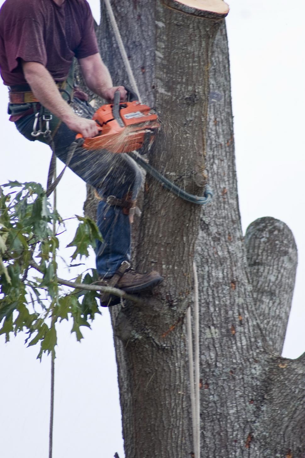 Free Stock Photo of Man with saw | Download Free Images and Free ...