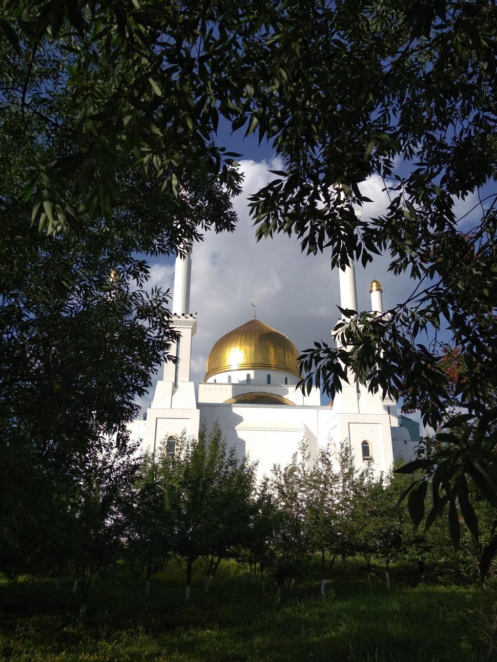 Free Stock Photo of Mosque through trees | Download Free Images and ...