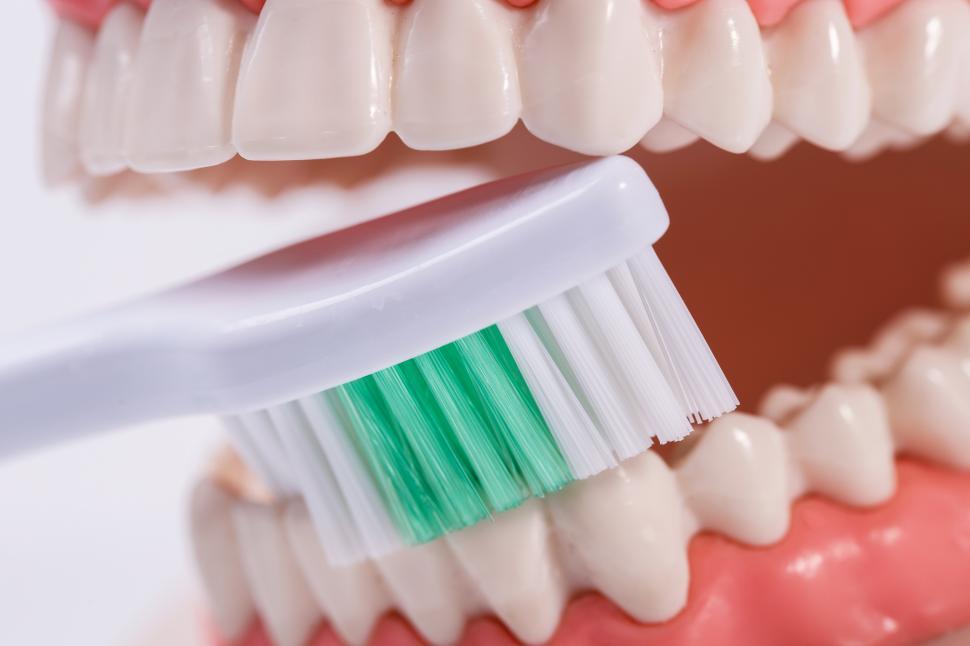 Free Stock Photo of Brushing White teeth with a toothbrush | Download ...