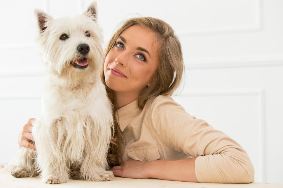Free Stock Photo of Happy girl with her white dog | Download Free ...