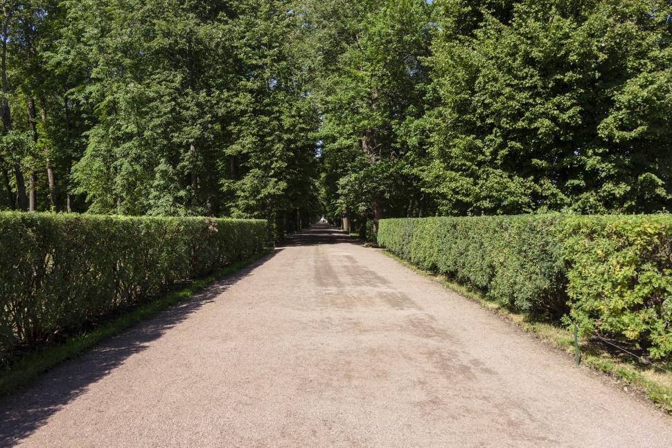 Free Stock Photo of Walking path | Download Free Images and Free ...