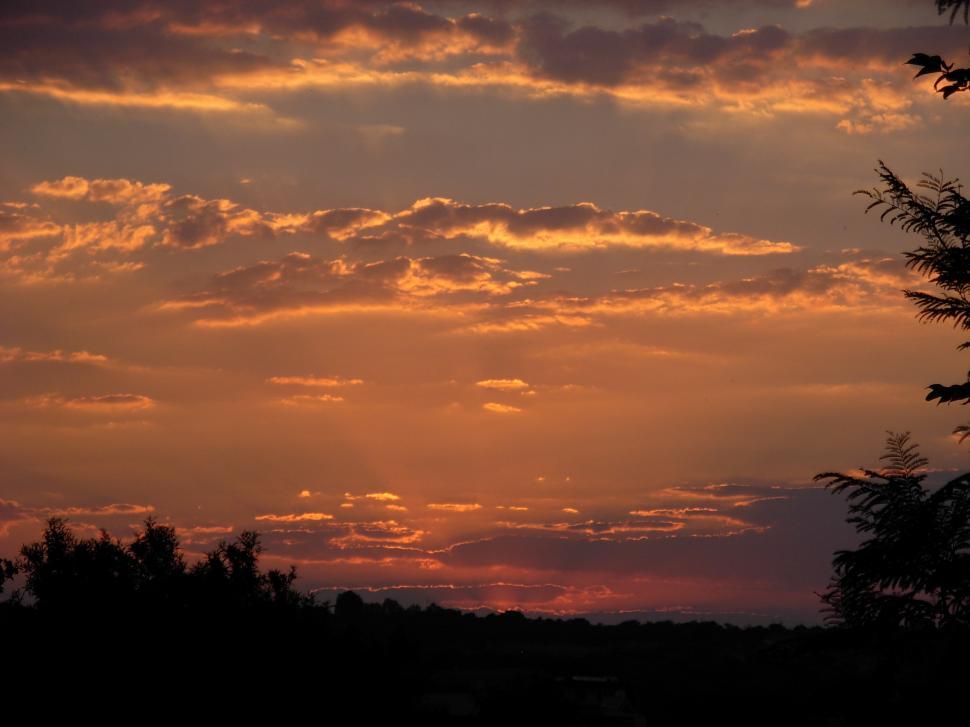 Free Stock Photo of Sunset Over Trees | Download Free Images and Free ...