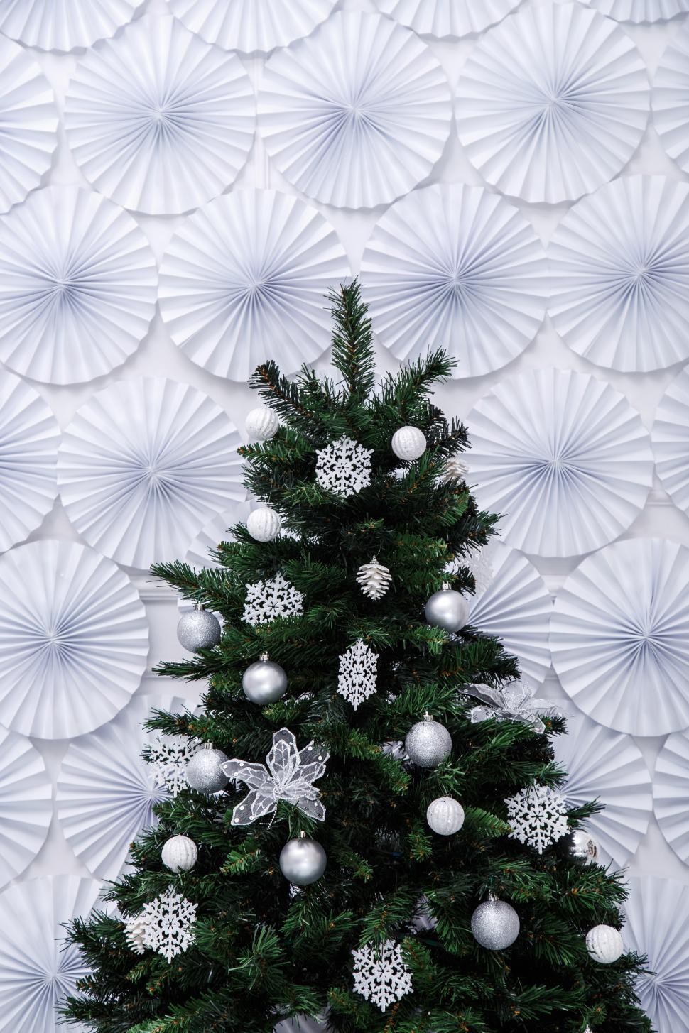Free Stock Photo of Christmas tree on paper circle background ...