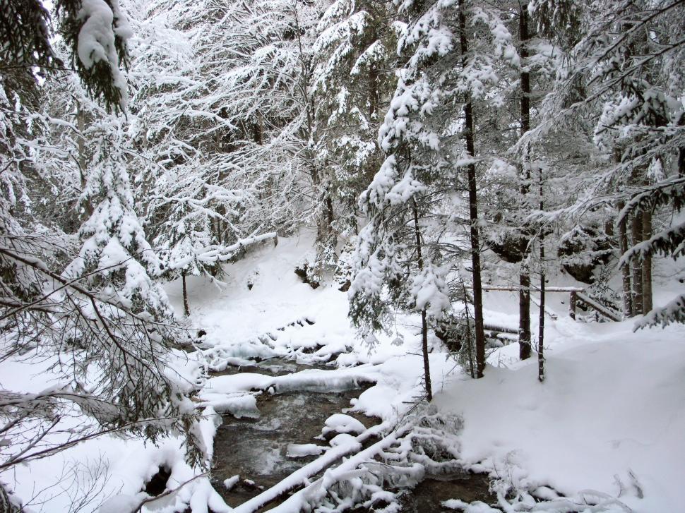 Free Stock Photo of Heavy snow over the mountains | Download Free ...