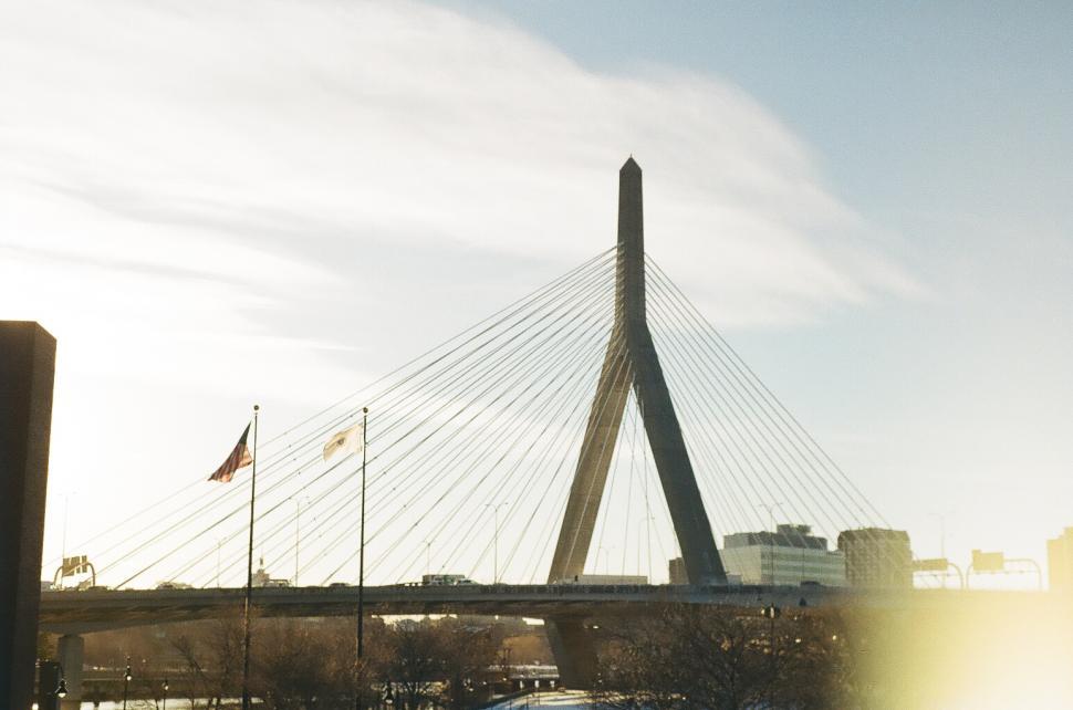 Free Stock Photo of Cable bridge and USA flag poles | Download Free ...