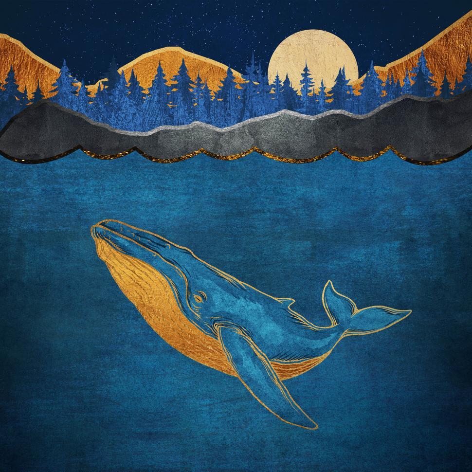Free Stock Photo of Humpback Whale Cruising the Ocean at Night ...